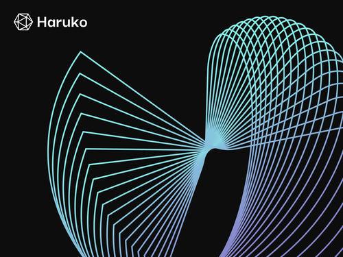 Our Designs For Haruko | Studio Case Studies