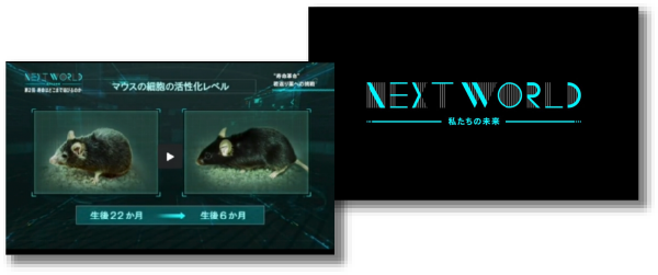 NMNとは？ | NMNの養庵堂 【阿部養庵堂薬品 公式ショップ】