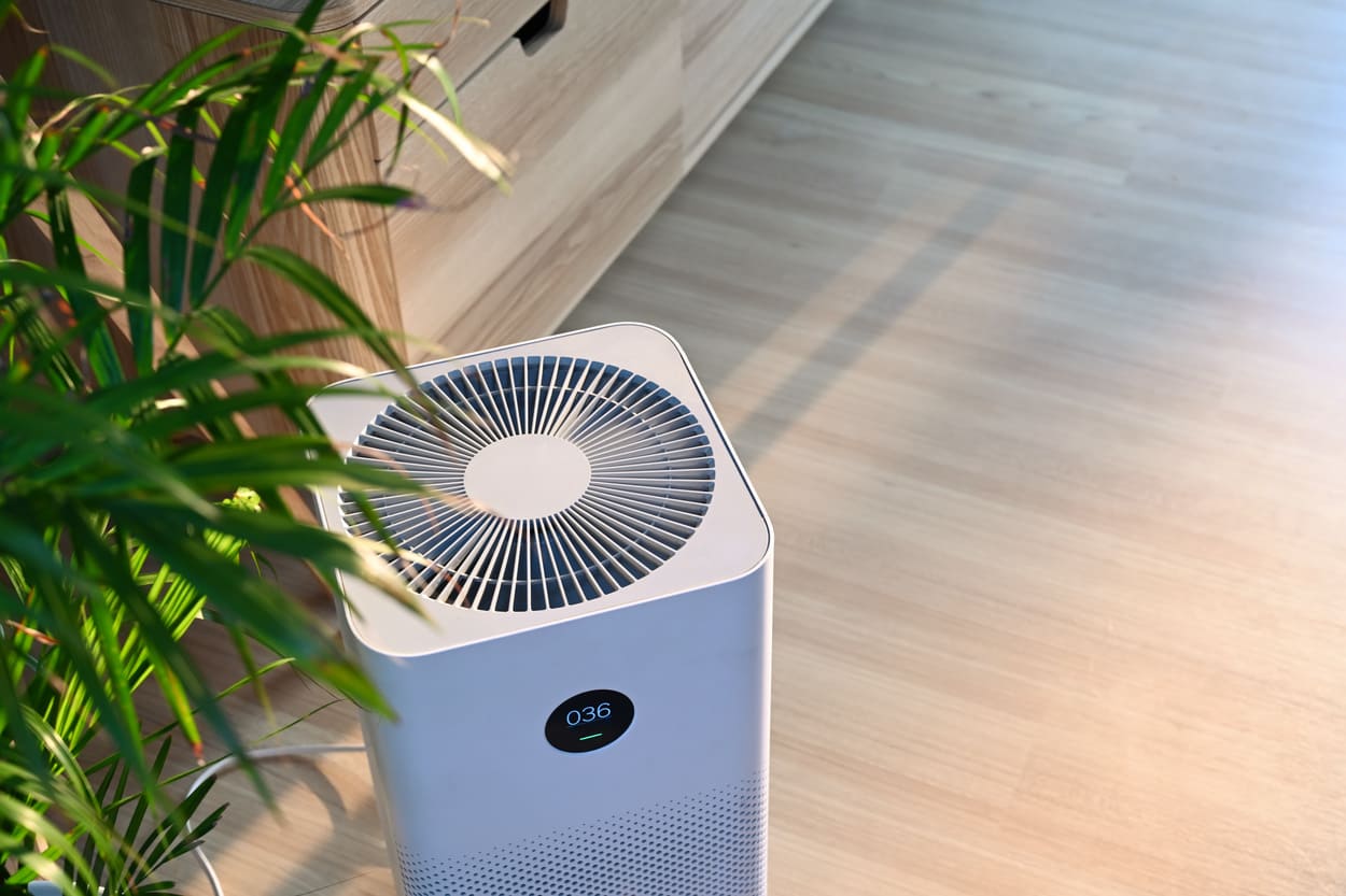 Why Every Office Should Have An Air Purifier | Sanalife