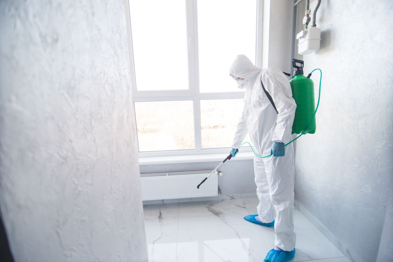 Things To Know About Mold in Commercial Buildings | Sanalife