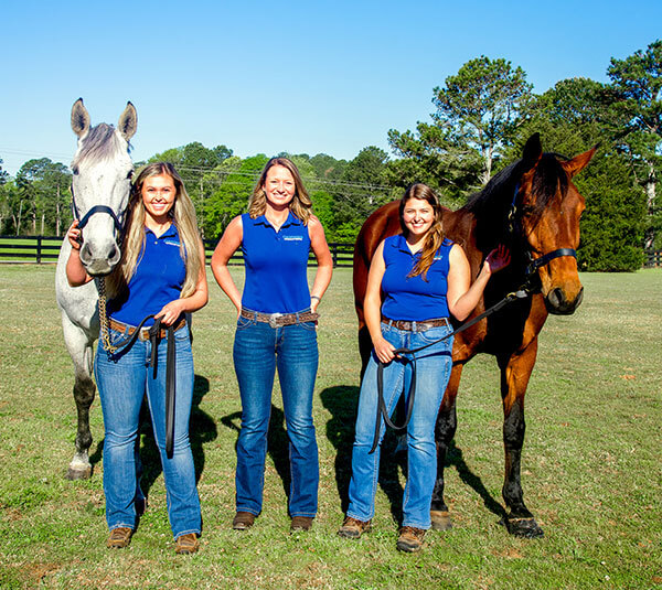 Countryside Vets - Kind Care & Modern Medicine Since 1991