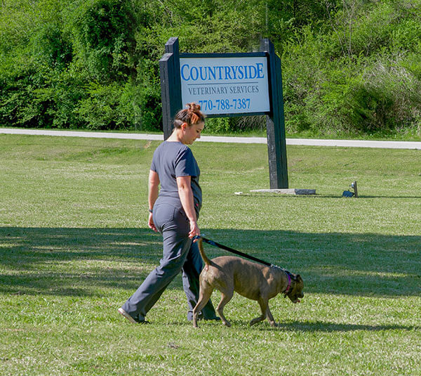 Countryside Vets - Kind Care & Modern Medicine Since 1991