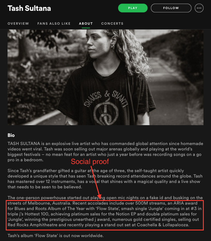 How To Write A Music Bio A Guide For Bands Artists
