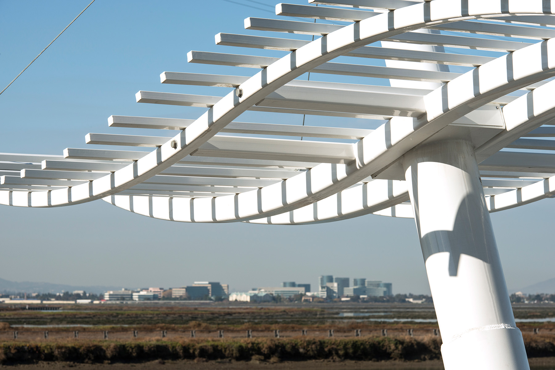 Cantilevered Trellis