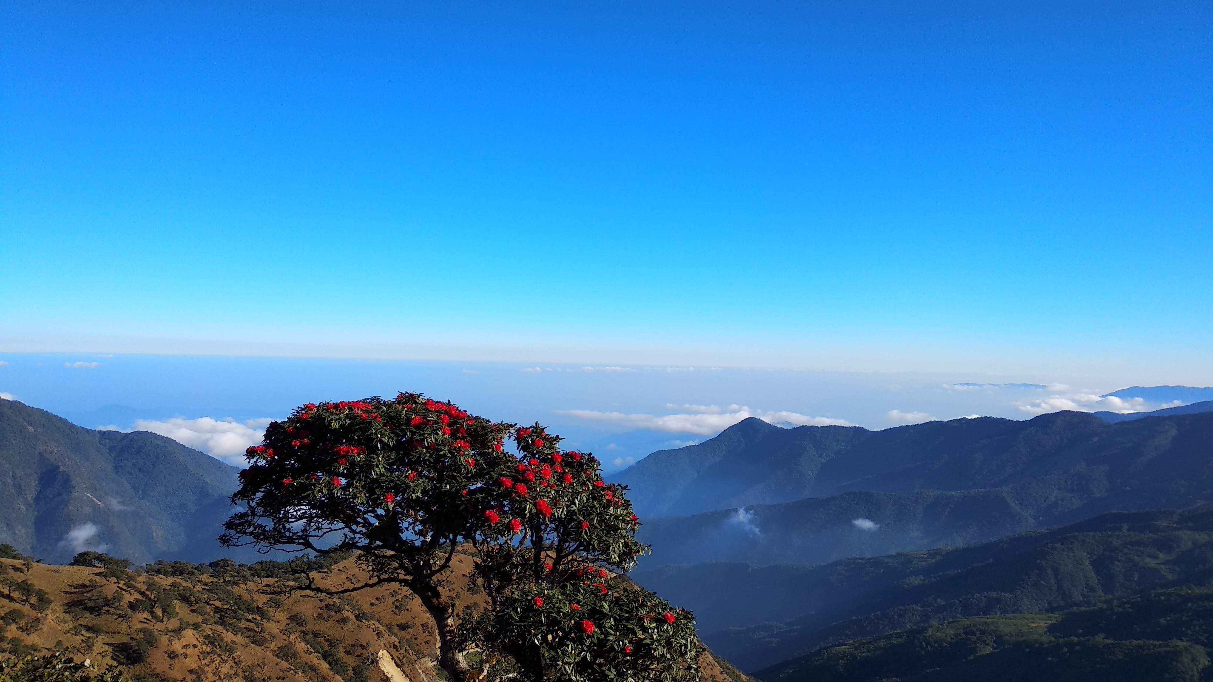 Chin's Culture,Ethnic Traditions,Local Lifestyles