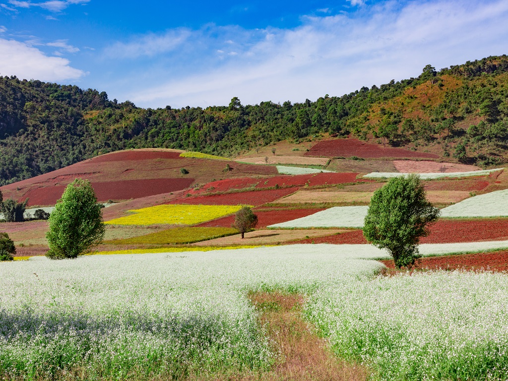 Nature and Wildlife Myanmar Stories - My Local Passion