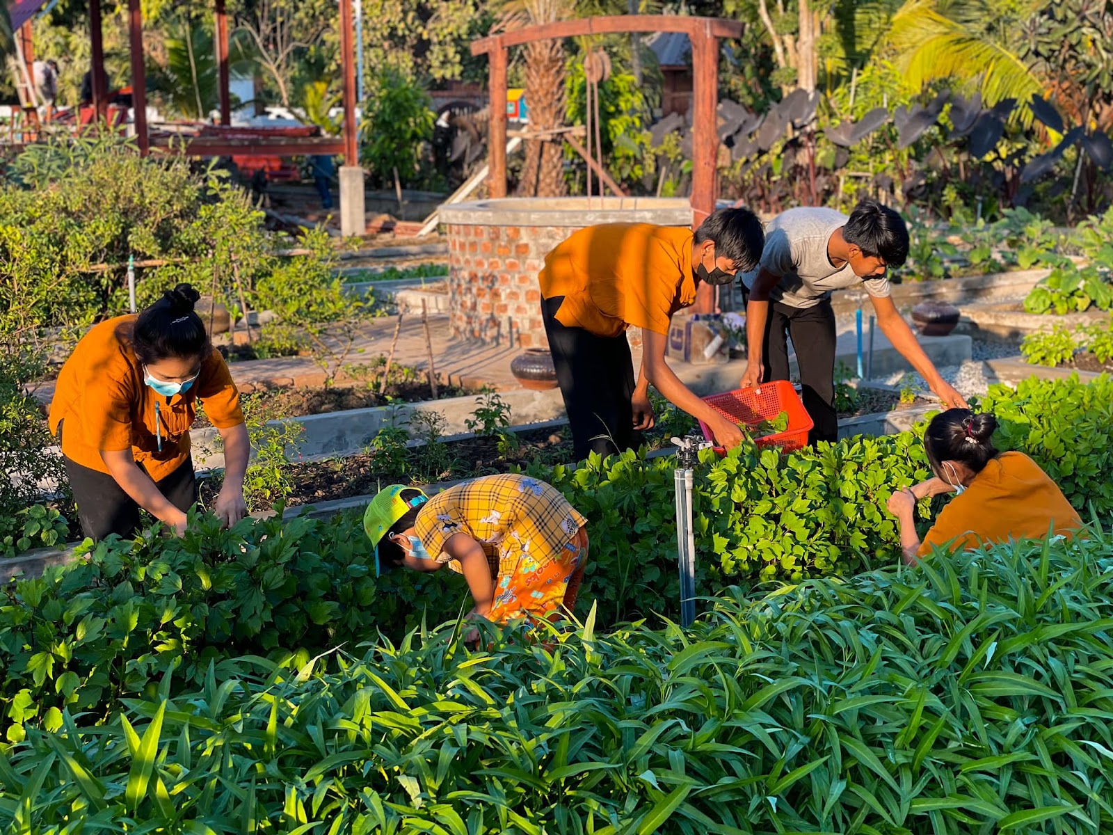 TM Farm Roadhouse: A New Place to Visit in Yangon