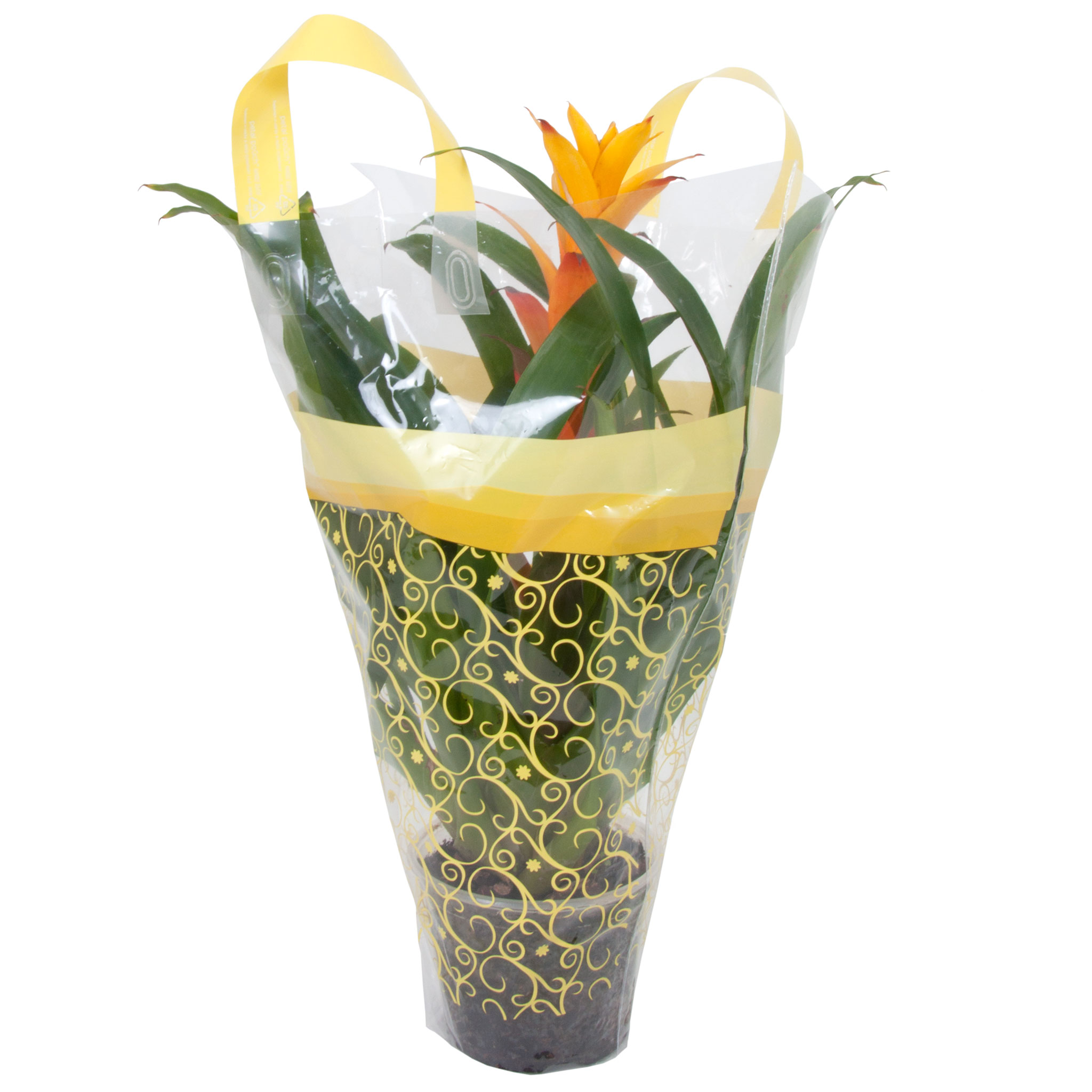 Ariel Airy Petal Pouch | A-ROO Company