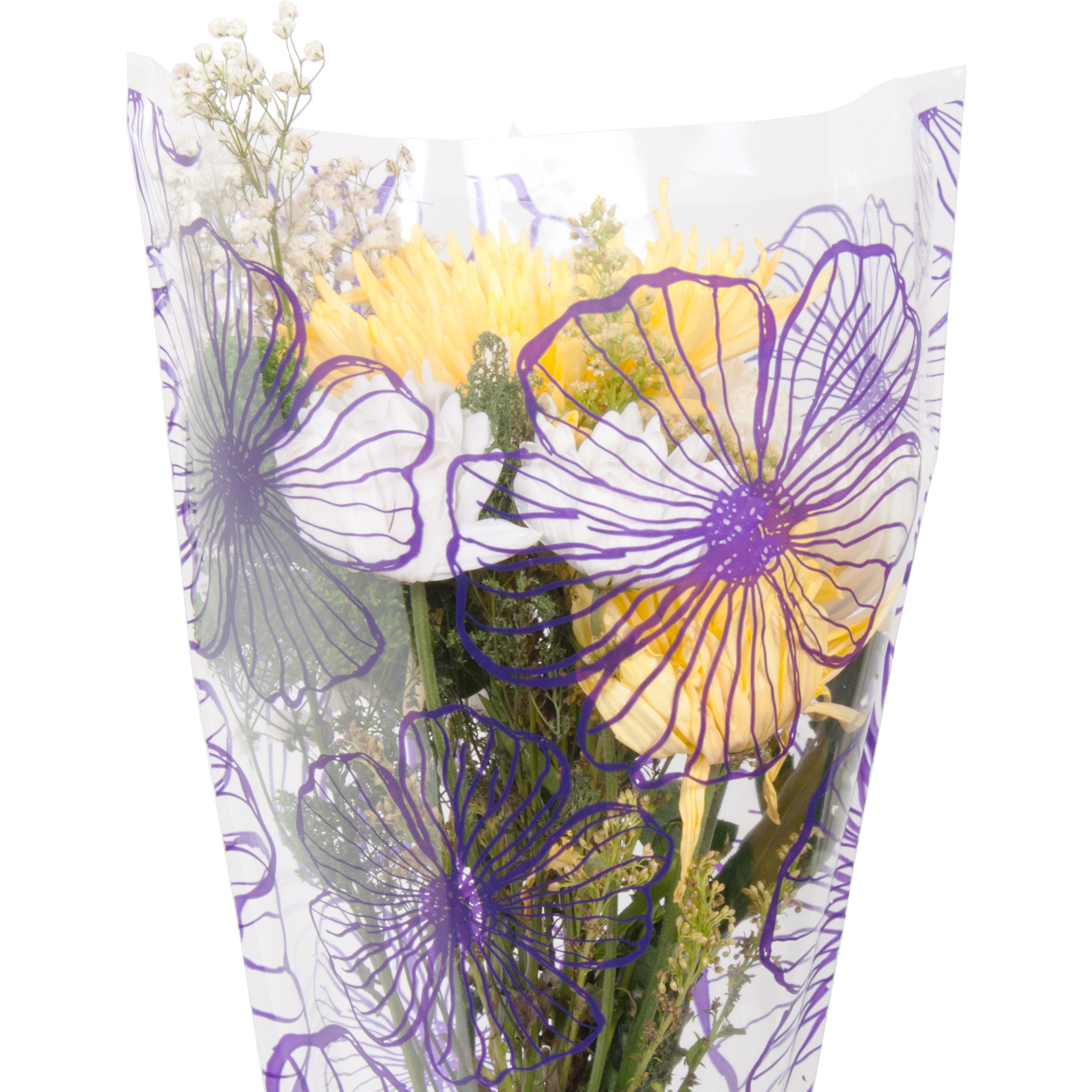 Allure Mini-Collection | A-ROO Company