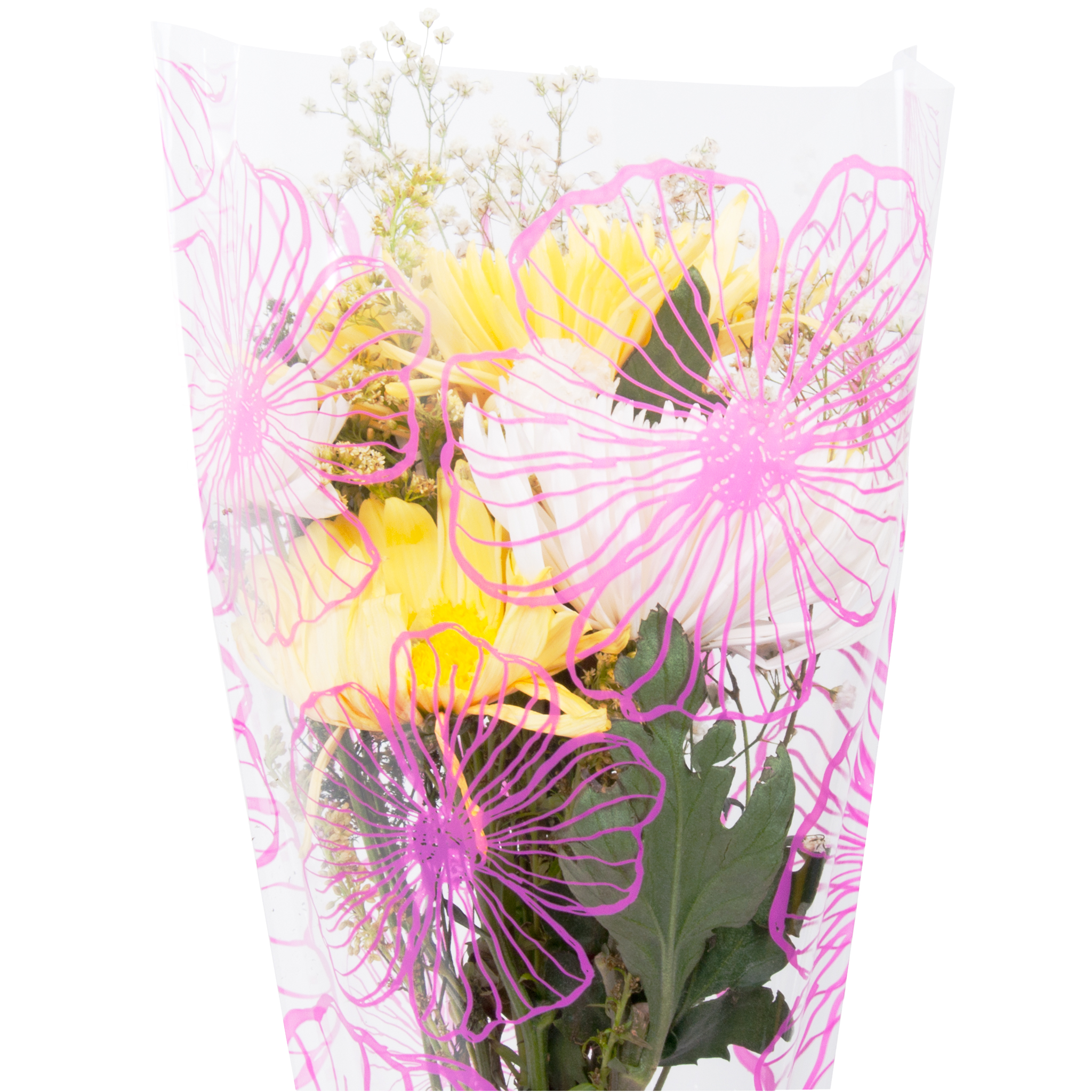 Allure Mini-Collection | A-ROO Company