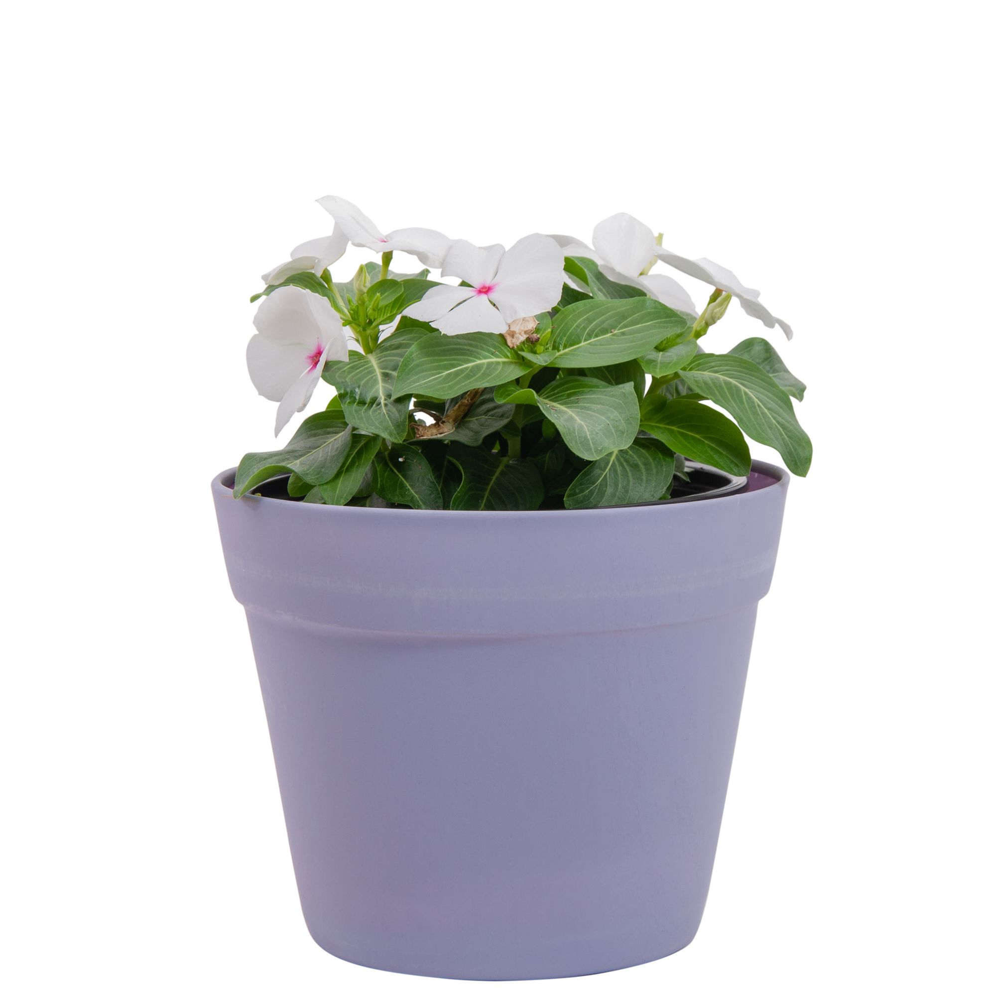 Pot Covers and Over Pots from A·ROO Company