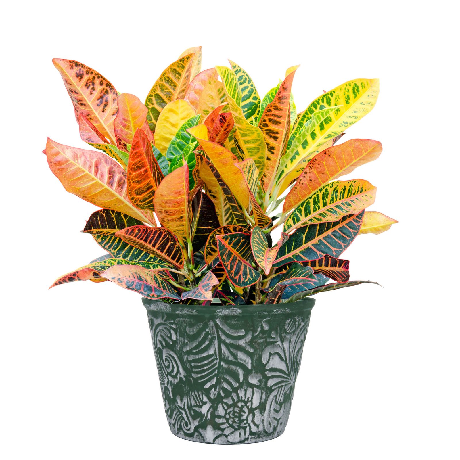 Pot Covers and Over Pots from A·ROO Company