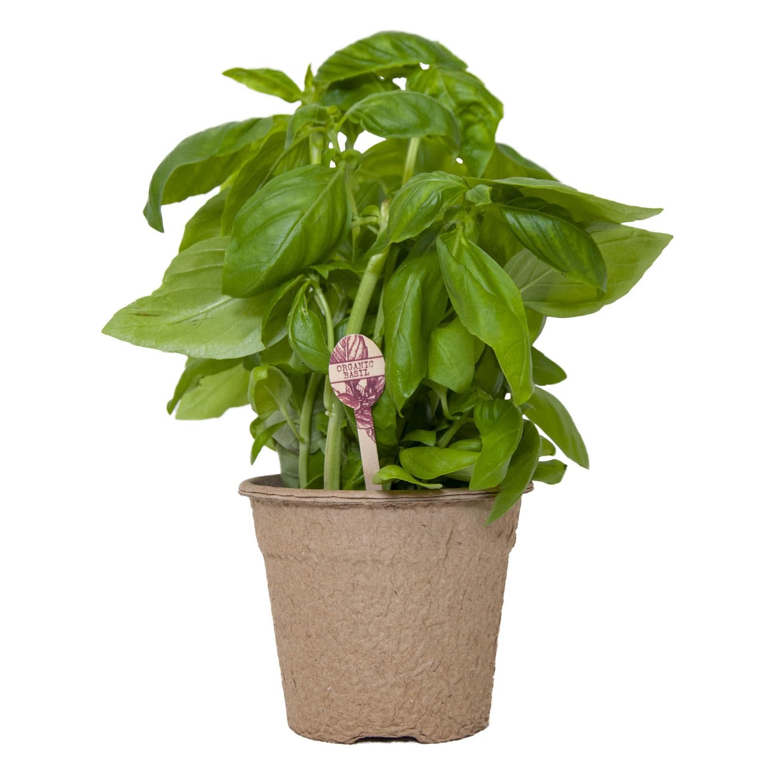 Sustainable Plant Markers | A-ROO Company