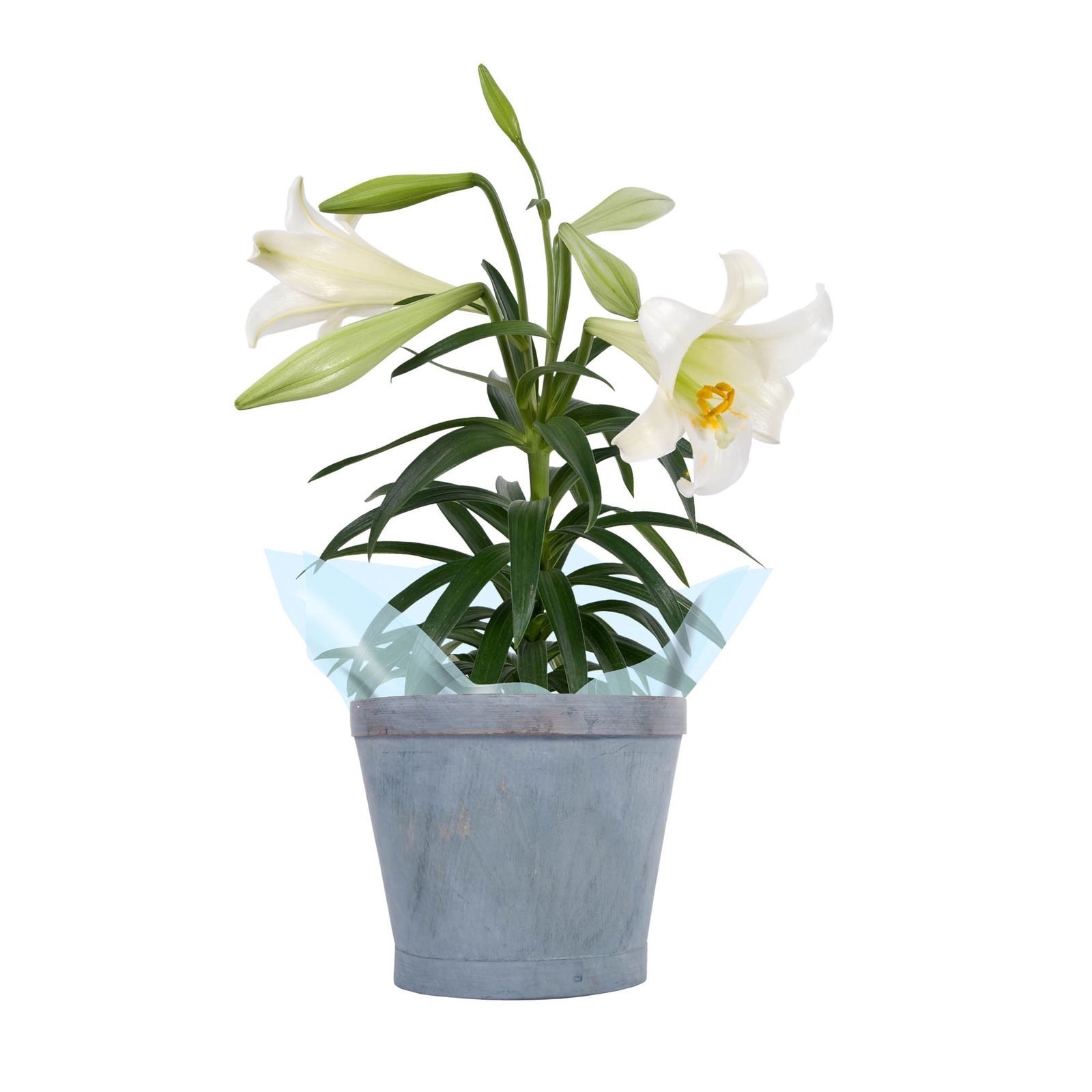 Woodland Pot Covers | A-ROO Company