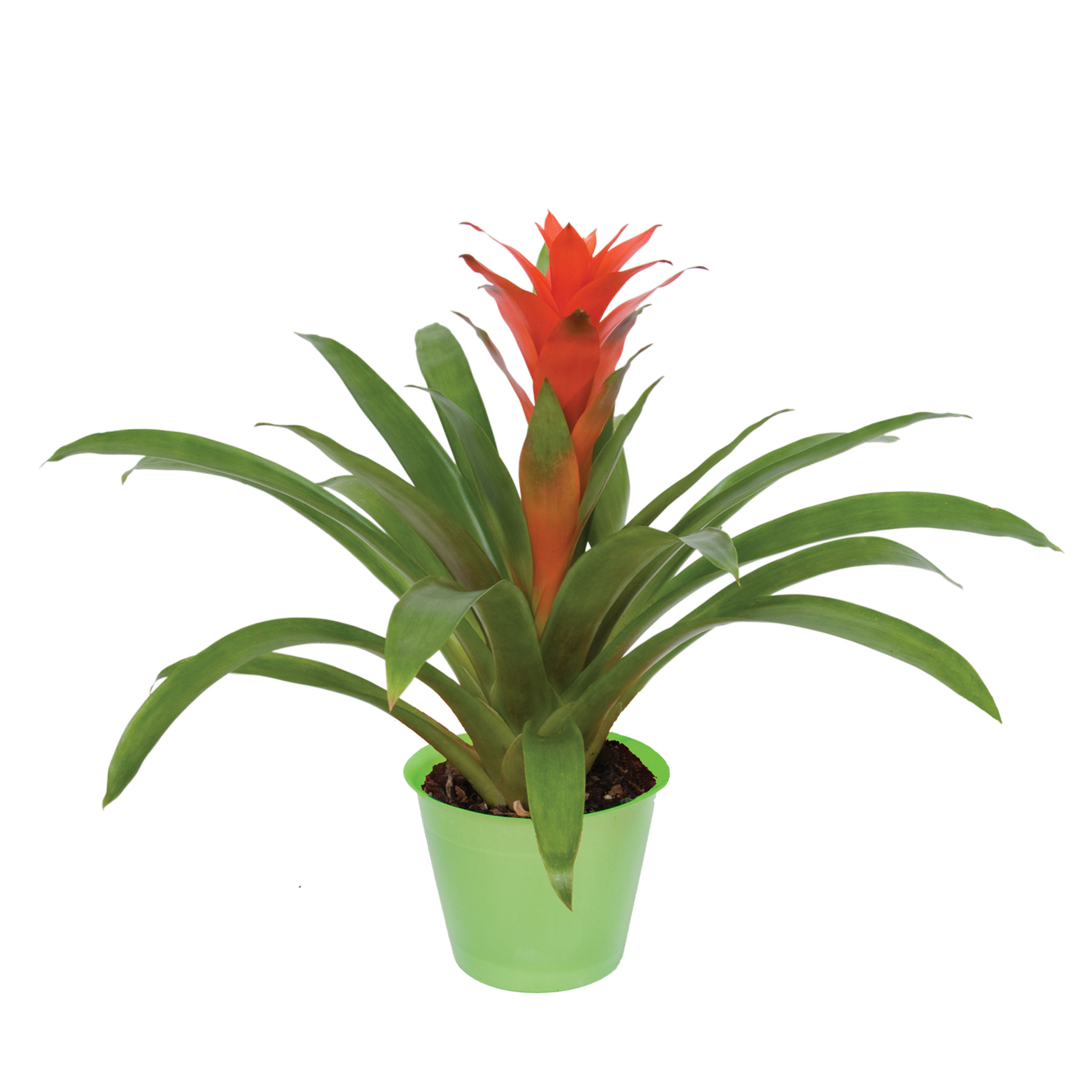 Custom Lifestyle and Upstyle Covers | A-ROO Company