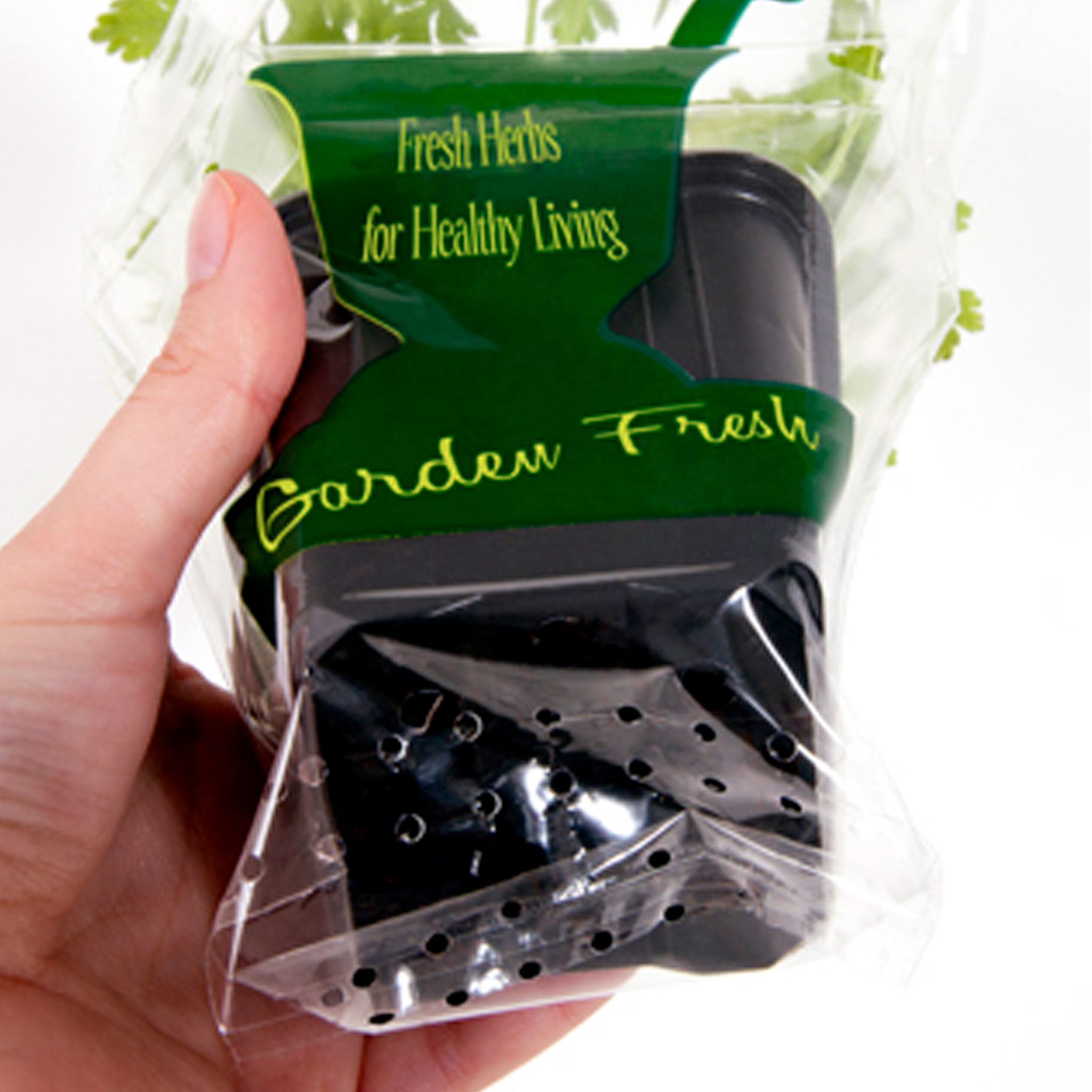 Packaging Special Features | A-ROO Company