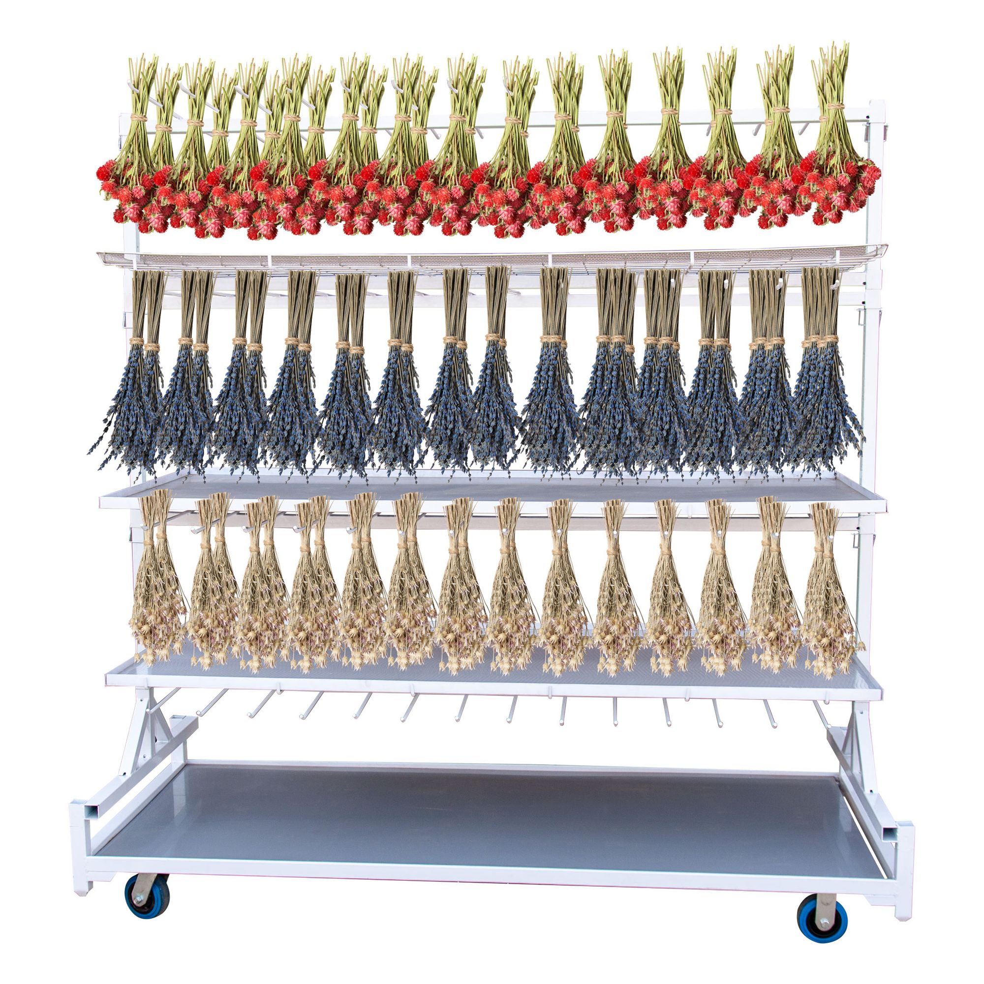 Trolleys and Carts from A·ROO Company