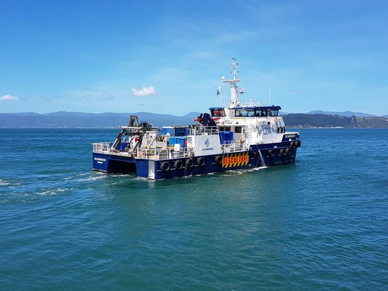 DP1 Seaworker – Seaworks Vessels
