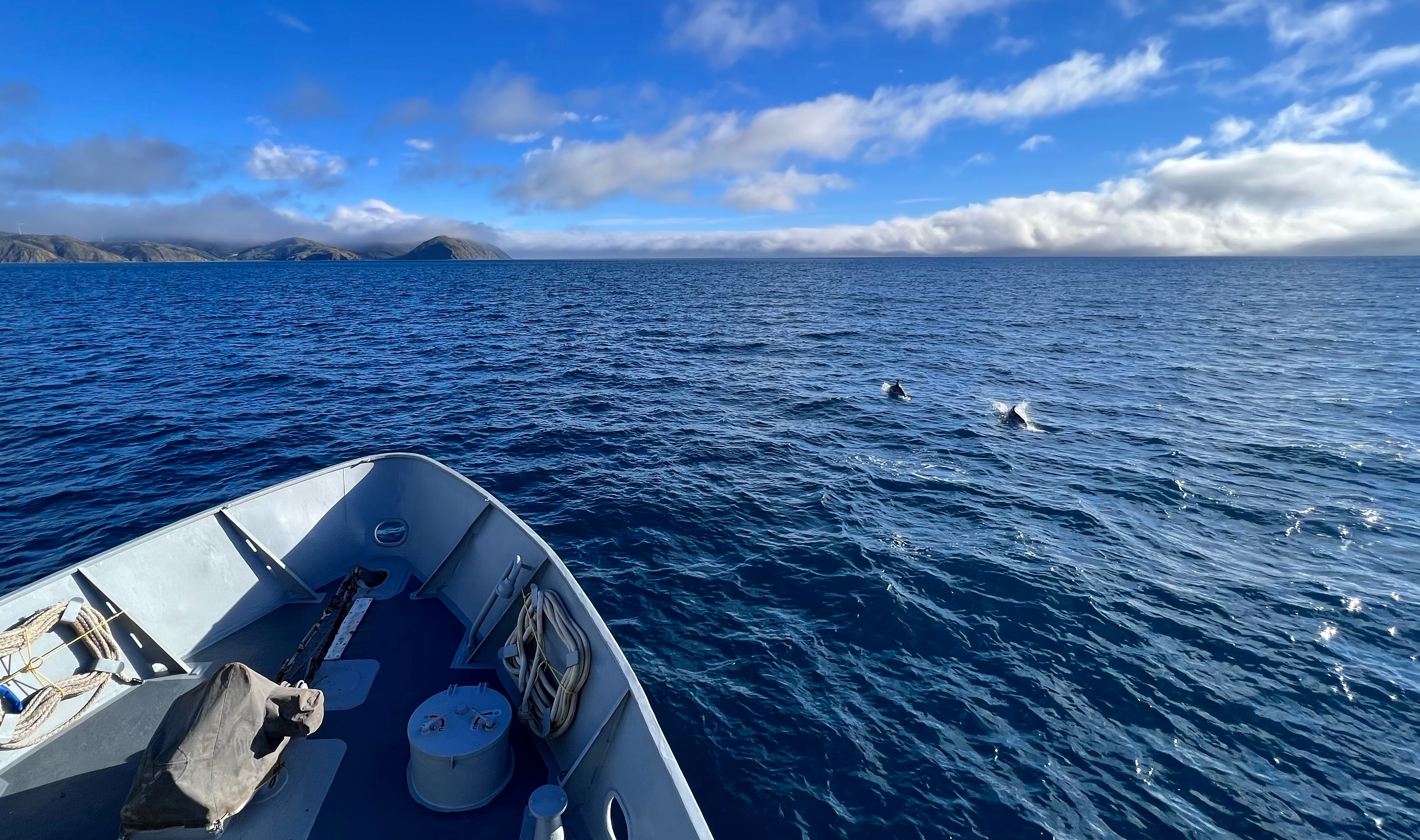 MV Seapatroller – Seaworks Vessels