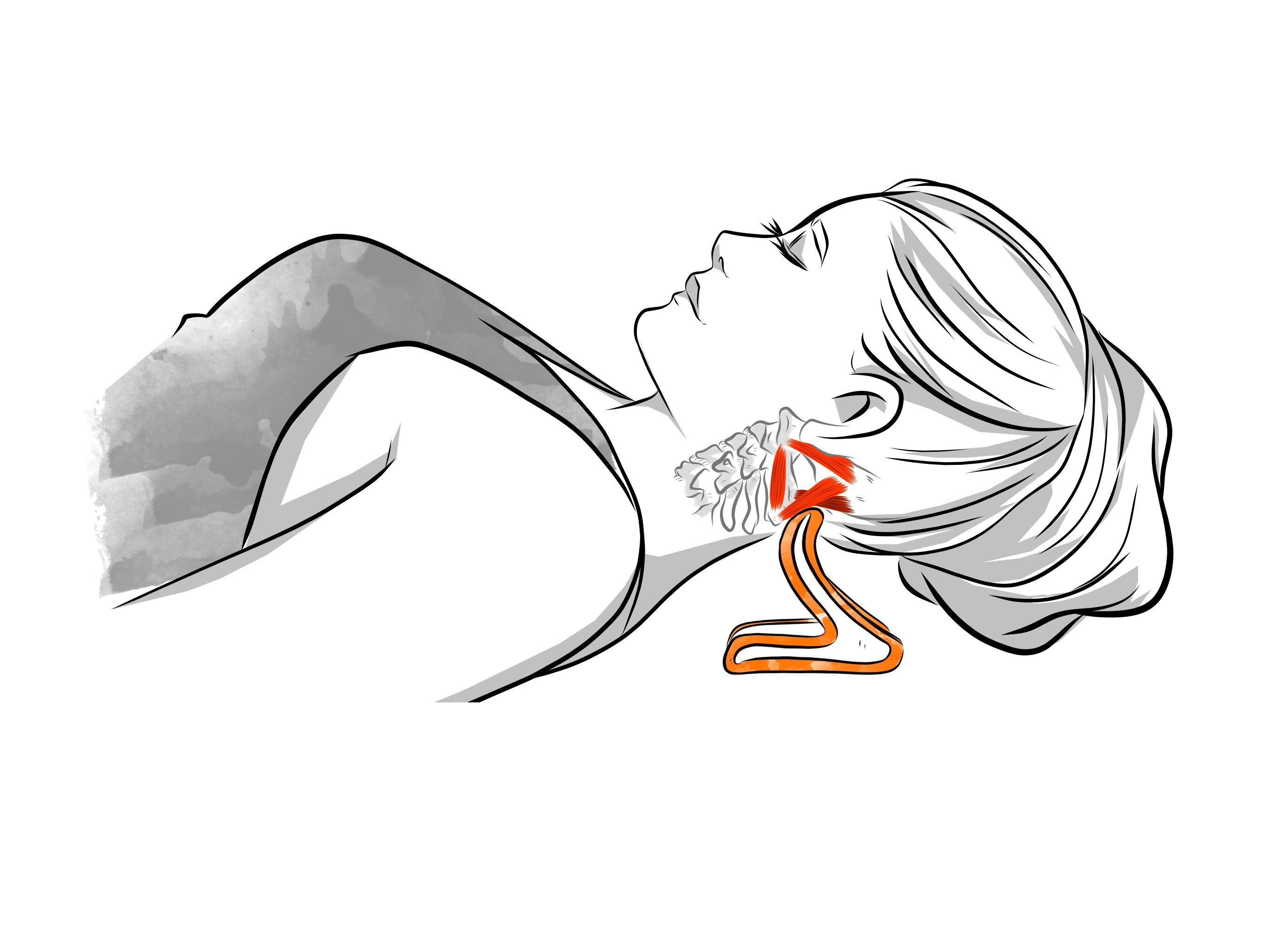 Tightness at the base of the skull? Massage these muscles