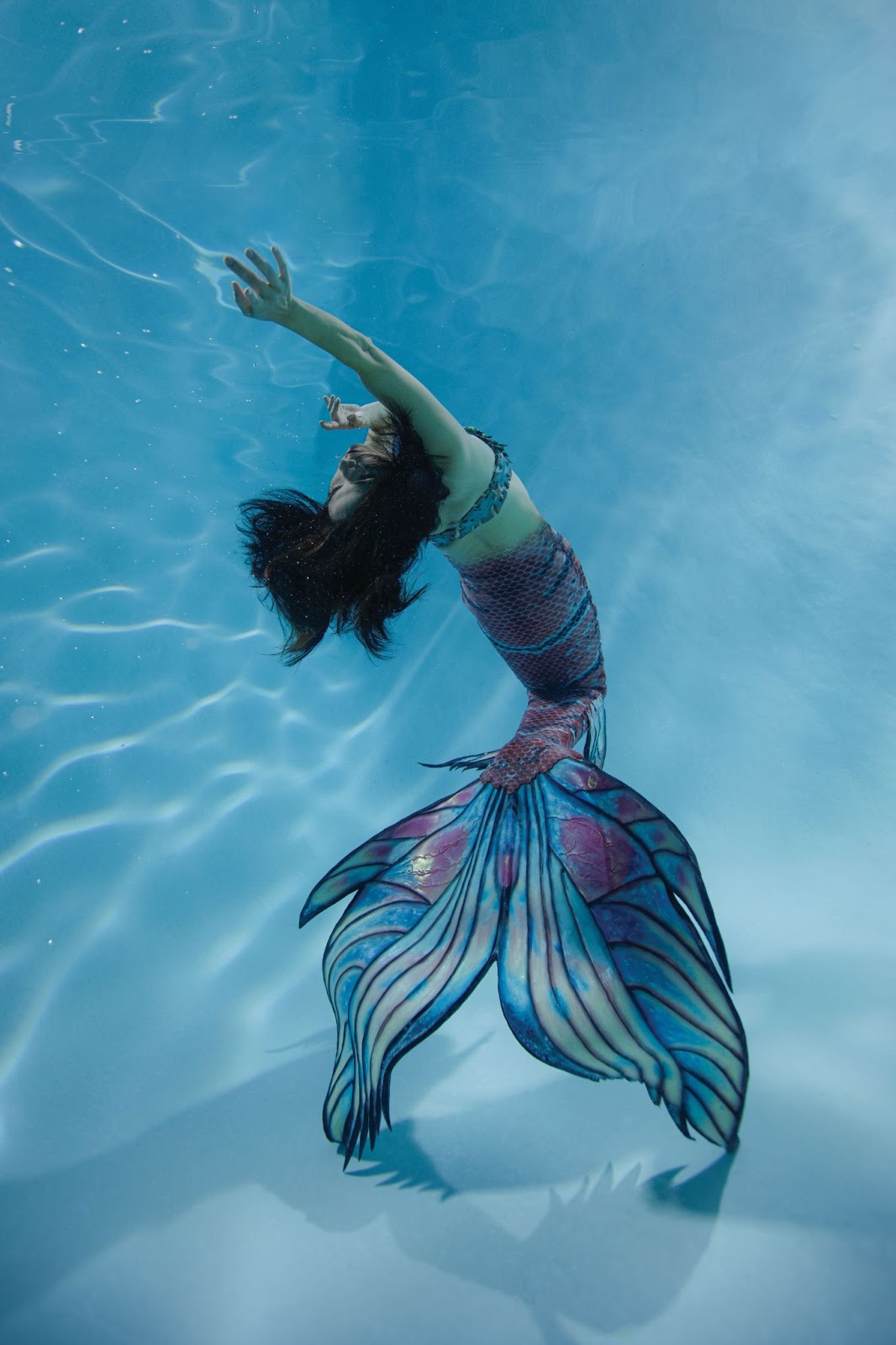 I Wanna See, Wanna See 'Em Dancing | The Tempest Be Damned with Sheroes ...