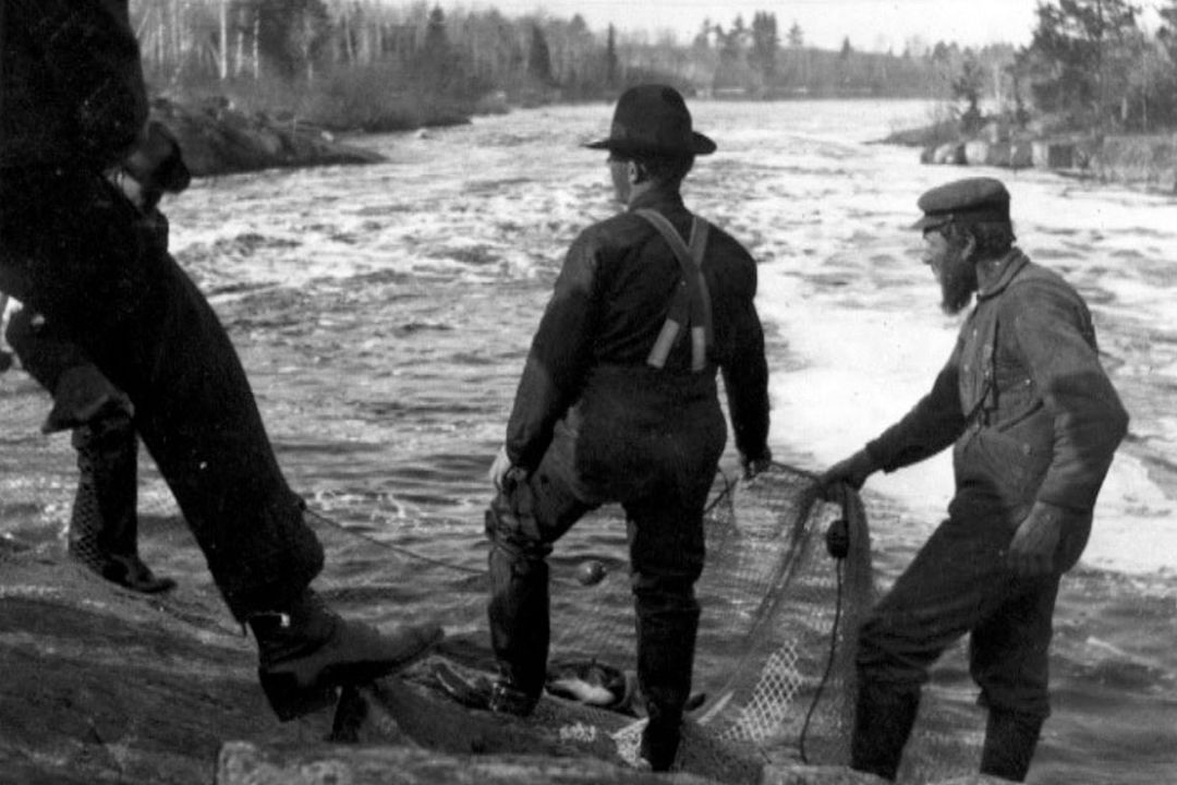 Life on the Iron Range: An Early History of Lake Vermilion