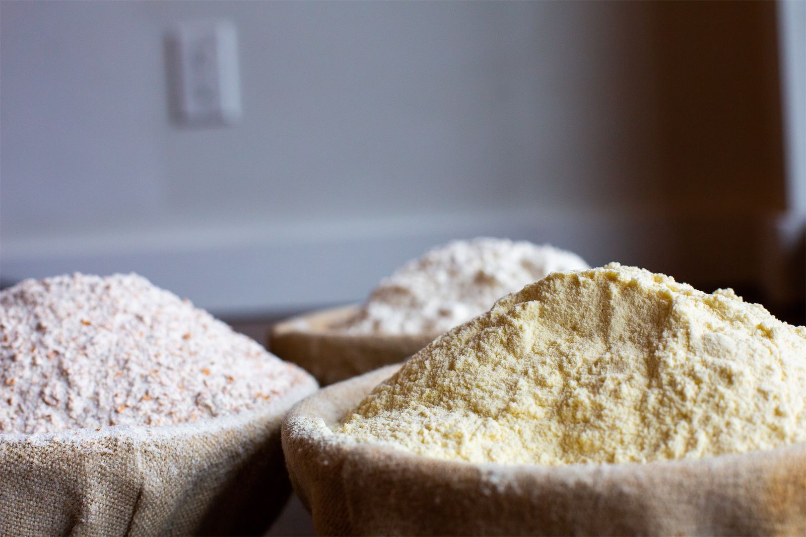 Gruppo Terroni | Who we are