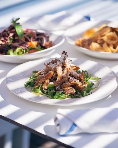 Terroni | Gruppo Terroni