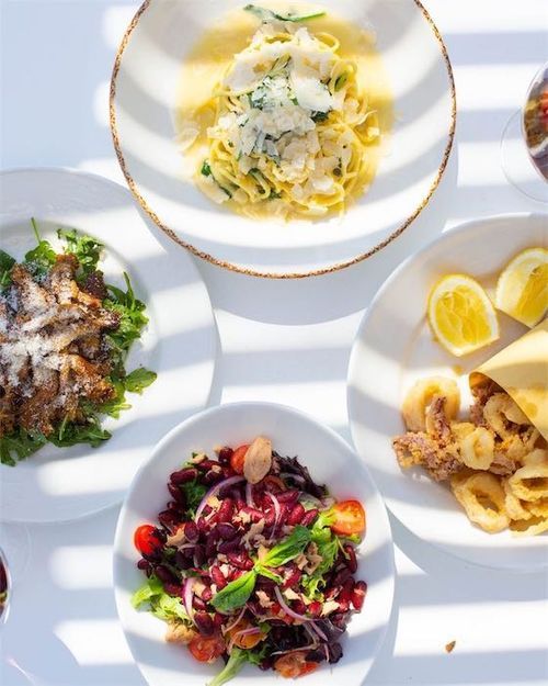 Terroni | Gruppo Terroni