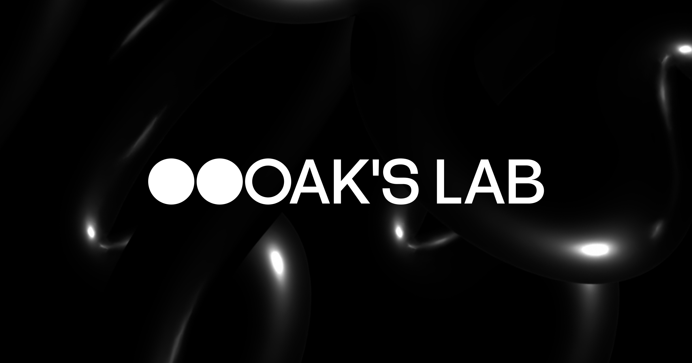 OAK'S LAB | Empowered Product Teams. For Startups.