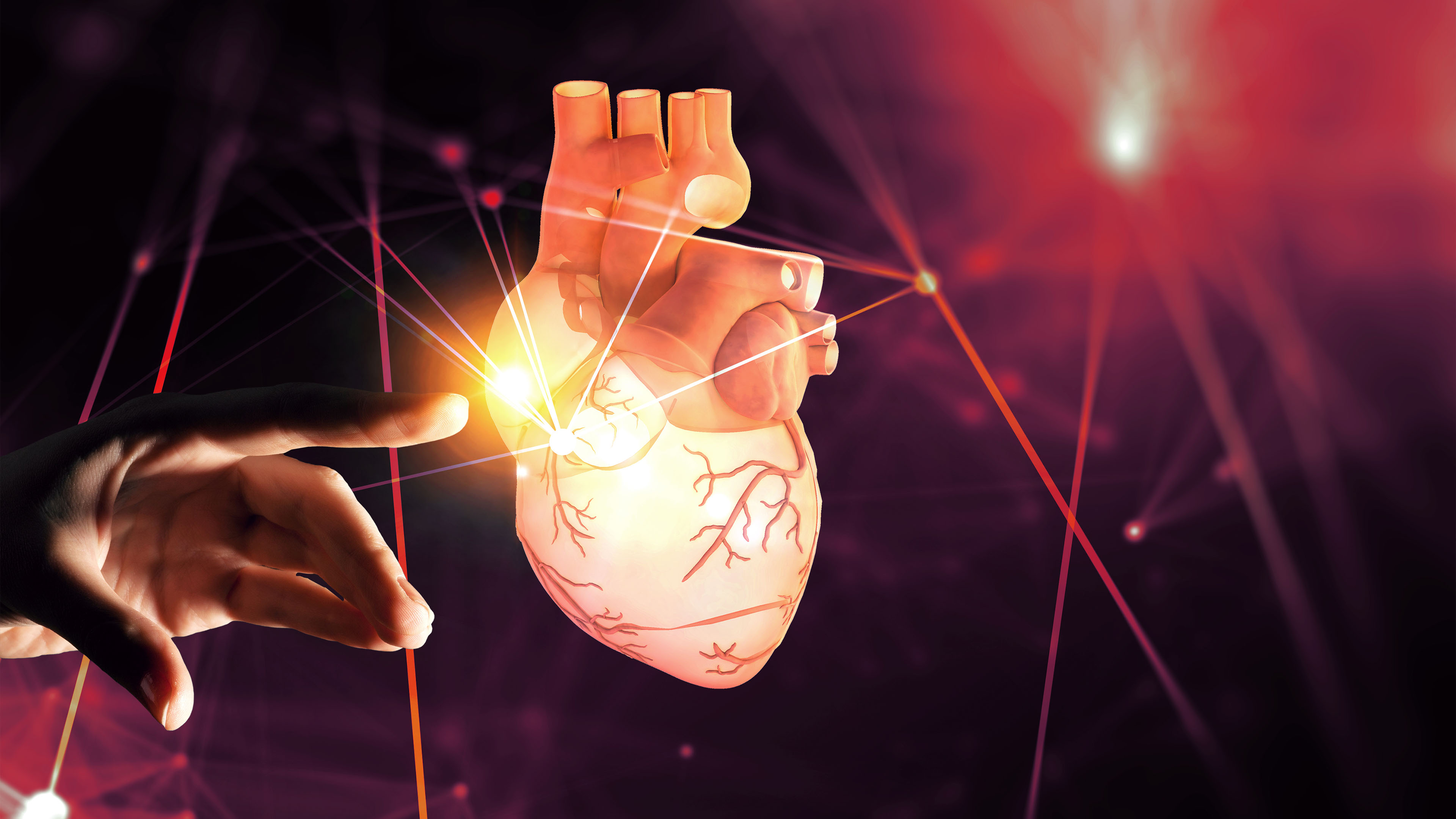 What problems Synthesit helps to solve? Heart & vessels