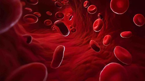 Synthesit news & articles. Thick blood