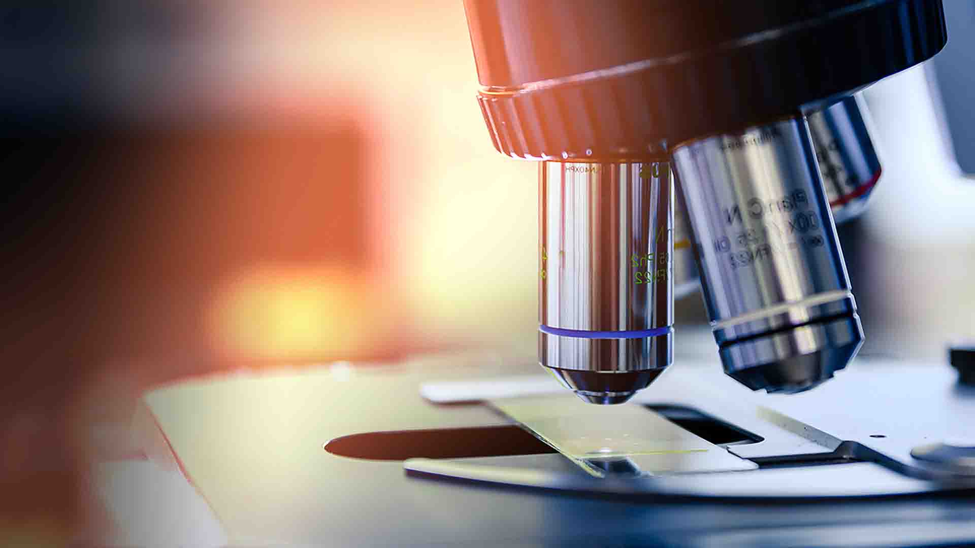 Synthesit researches & sertifications. InVitro Cancer Cell Research