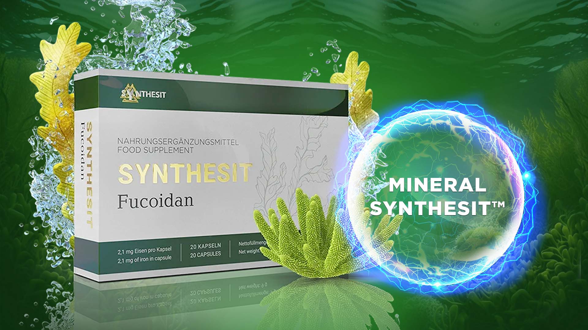 Synthesit news & articles. The most powerful product — Synthesit Fucoidan