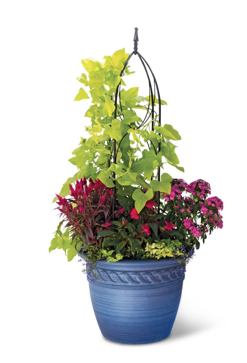 Kelly's Corner - Small Containers, Big Impact | Kelly's Creative Consulting