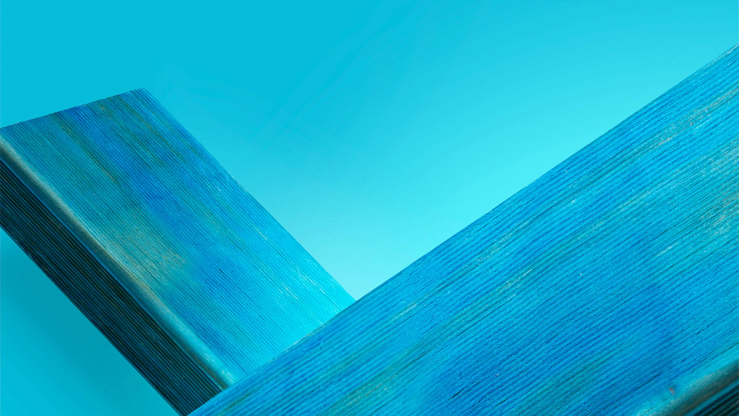 T2 Blue Timber Framing | H2 Termite Treatment