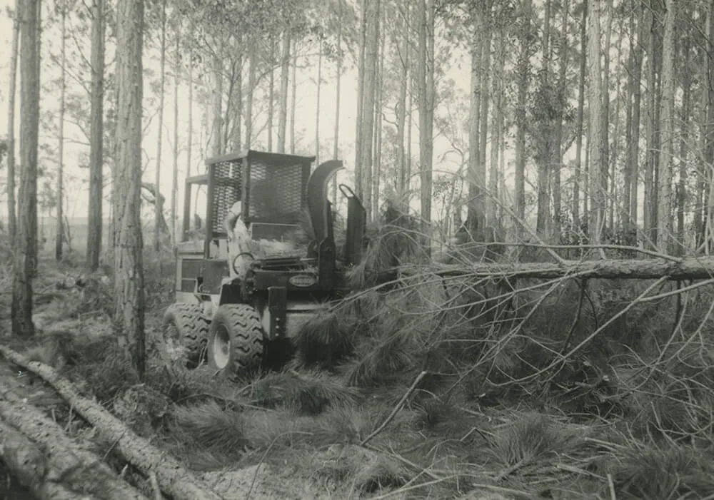 Our History | Hyne Timber