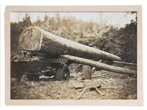Our History | Hyne Timber