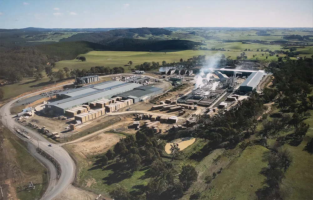 Our History | Hyne Timber