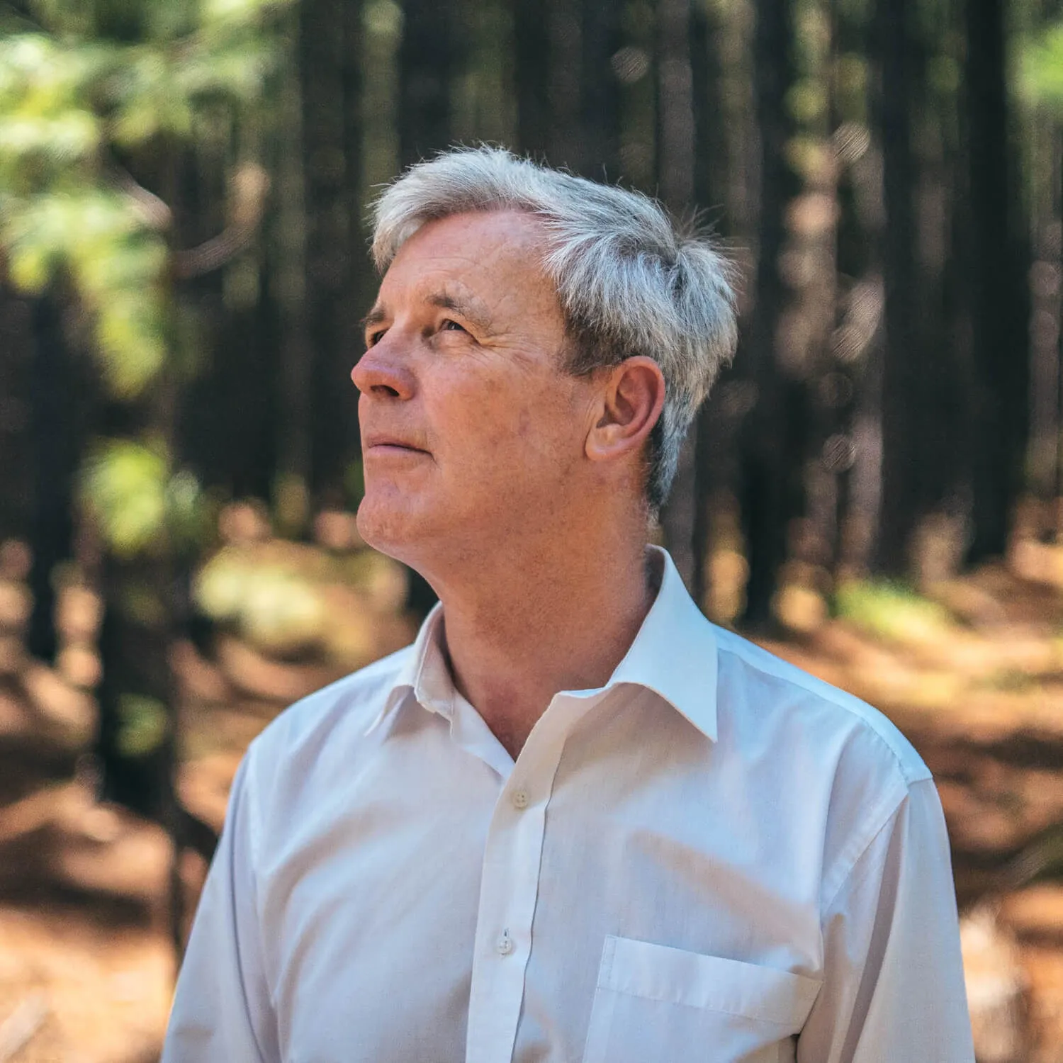 Advantages of Glue Laminated Timber | Hyne Timber