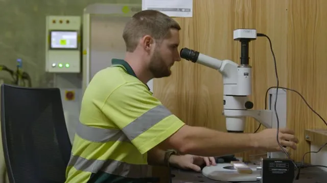 Our History | Hyne Timber