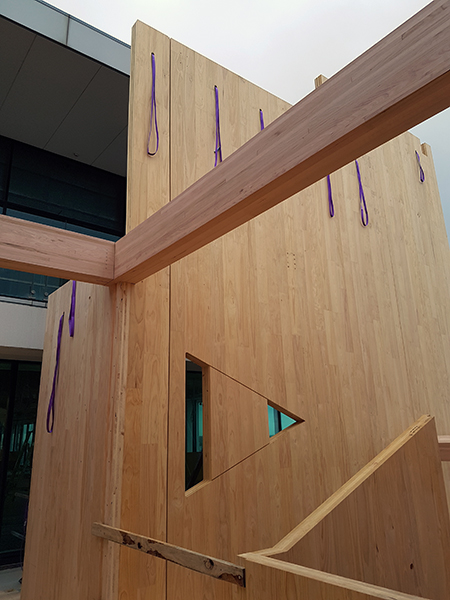 Insights | CLT and GLT: A perfect combination