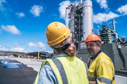 Our History | Hyne Timber