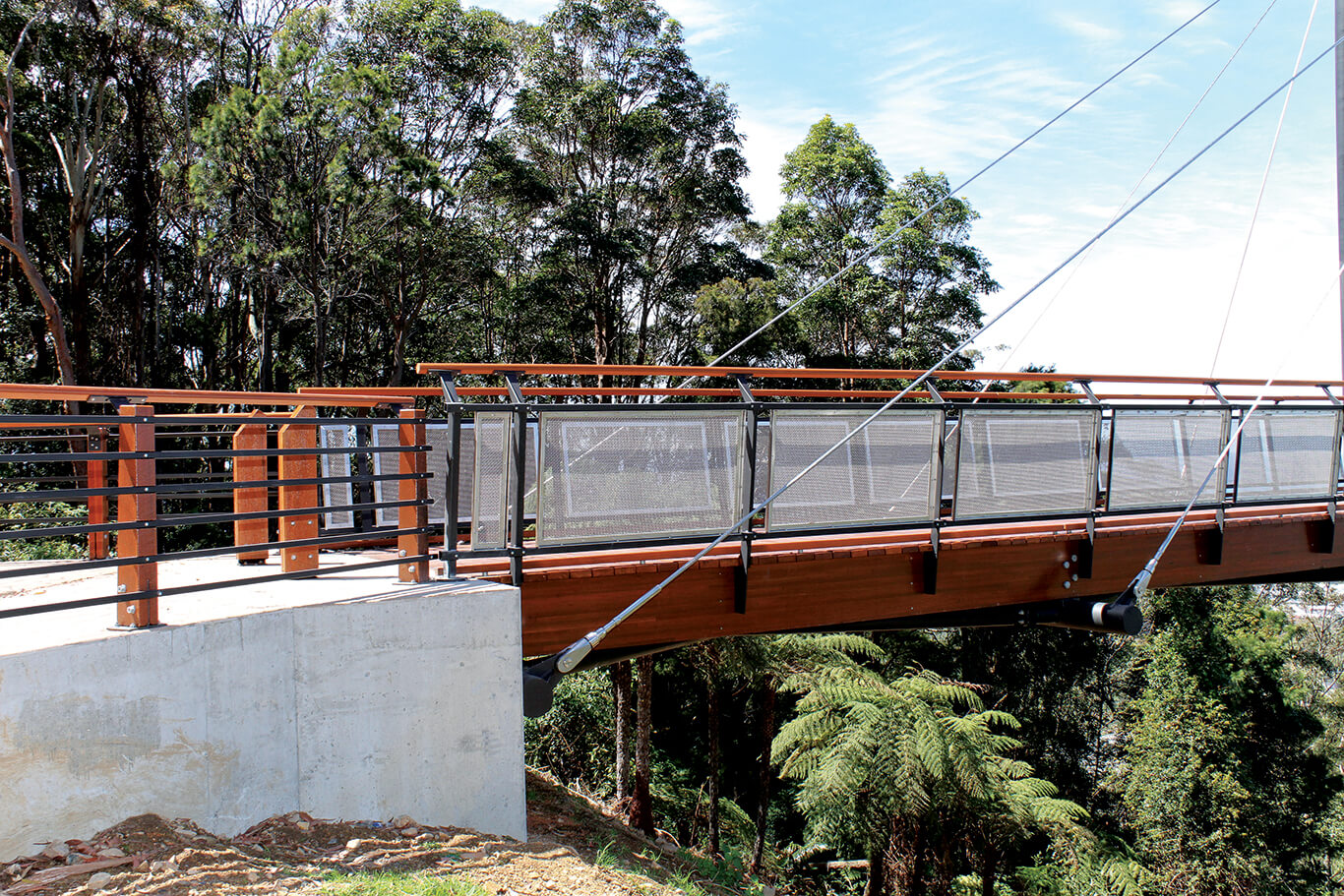 Case Study | Forest Sky Pier – Coffs Harbour, NSW