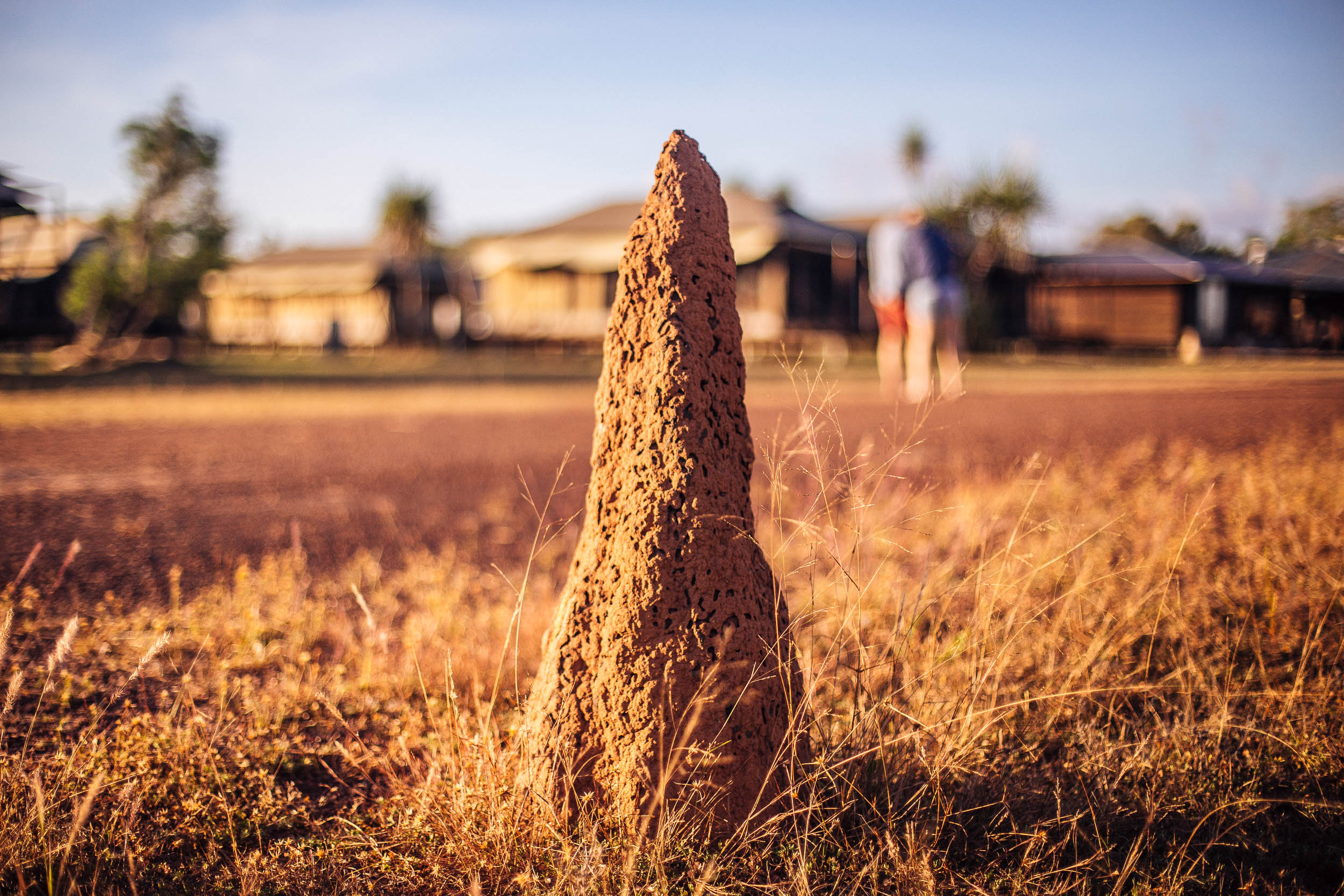 Insights | Termite Protection – Home Checklist