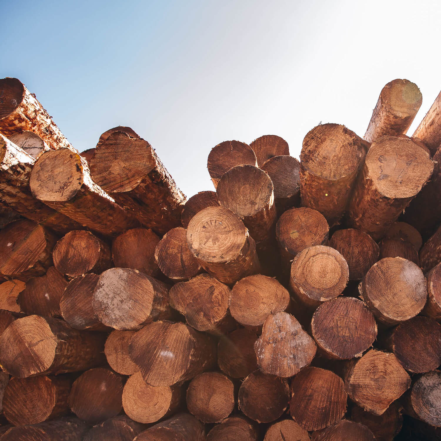 Timber Conversion Calculator | Hyne Timber