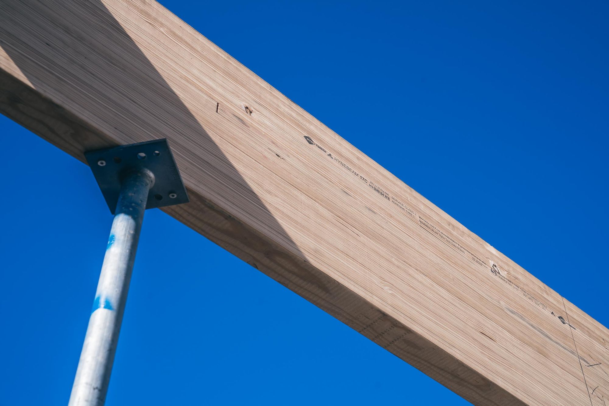 T2 Blue Timber Framing | H2 Termite Treatment