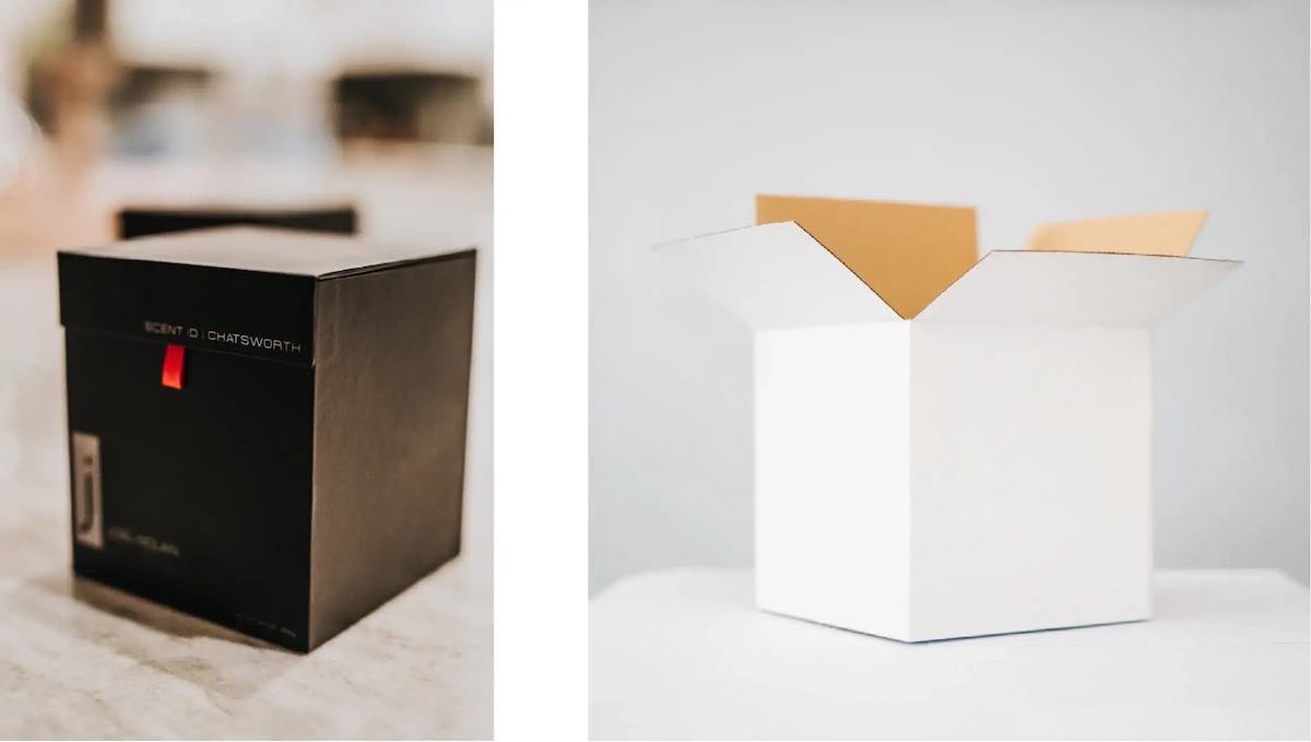 Black-Box and White-Box Models towards Explainable AI