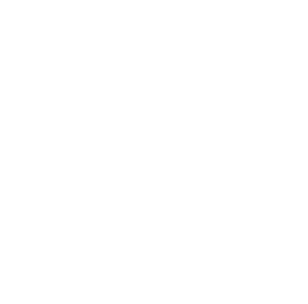 WinIt l Fight Your Ticket