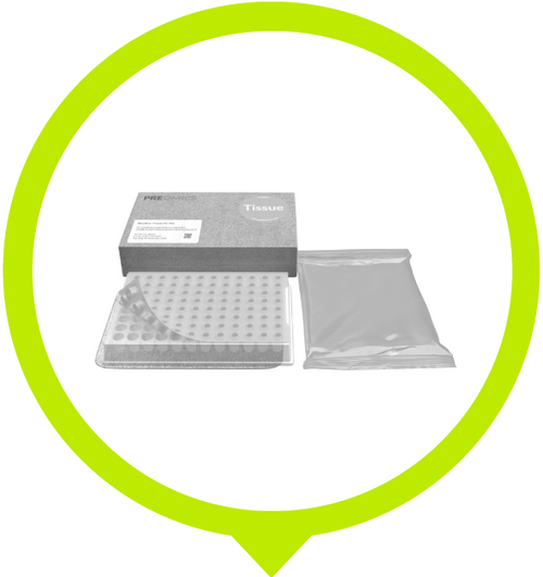 BeatBox tissue homogenizer and cell lyser | PreOmics